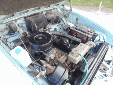 Standard Vanguard Luxury 6